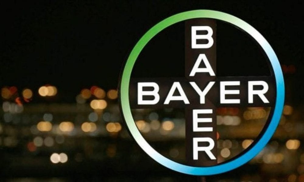 Bayer lanza variedad de maíz corto tolerante a condiciones climáticas ...