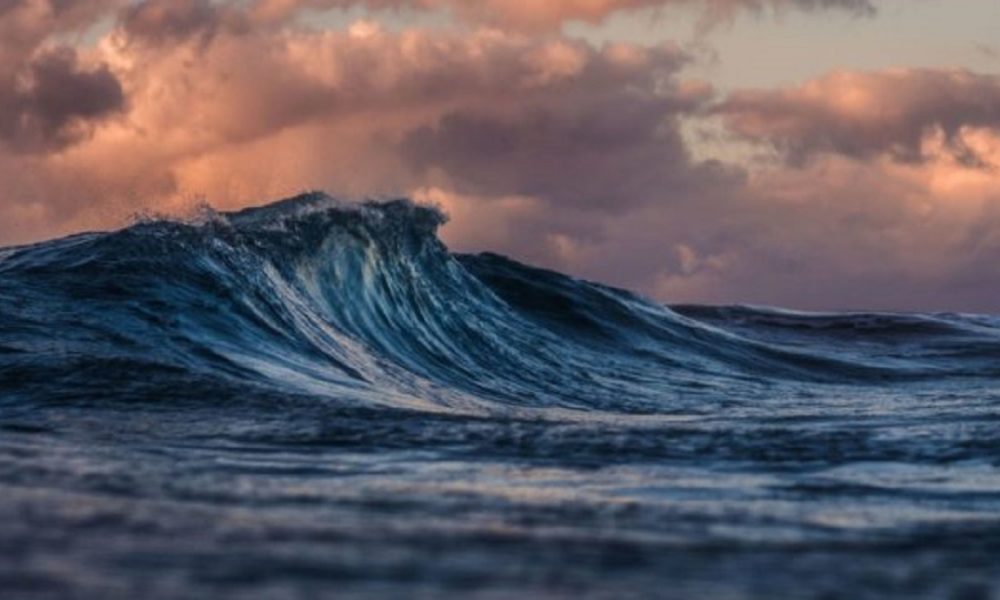 oceáno - Forbes Colombia