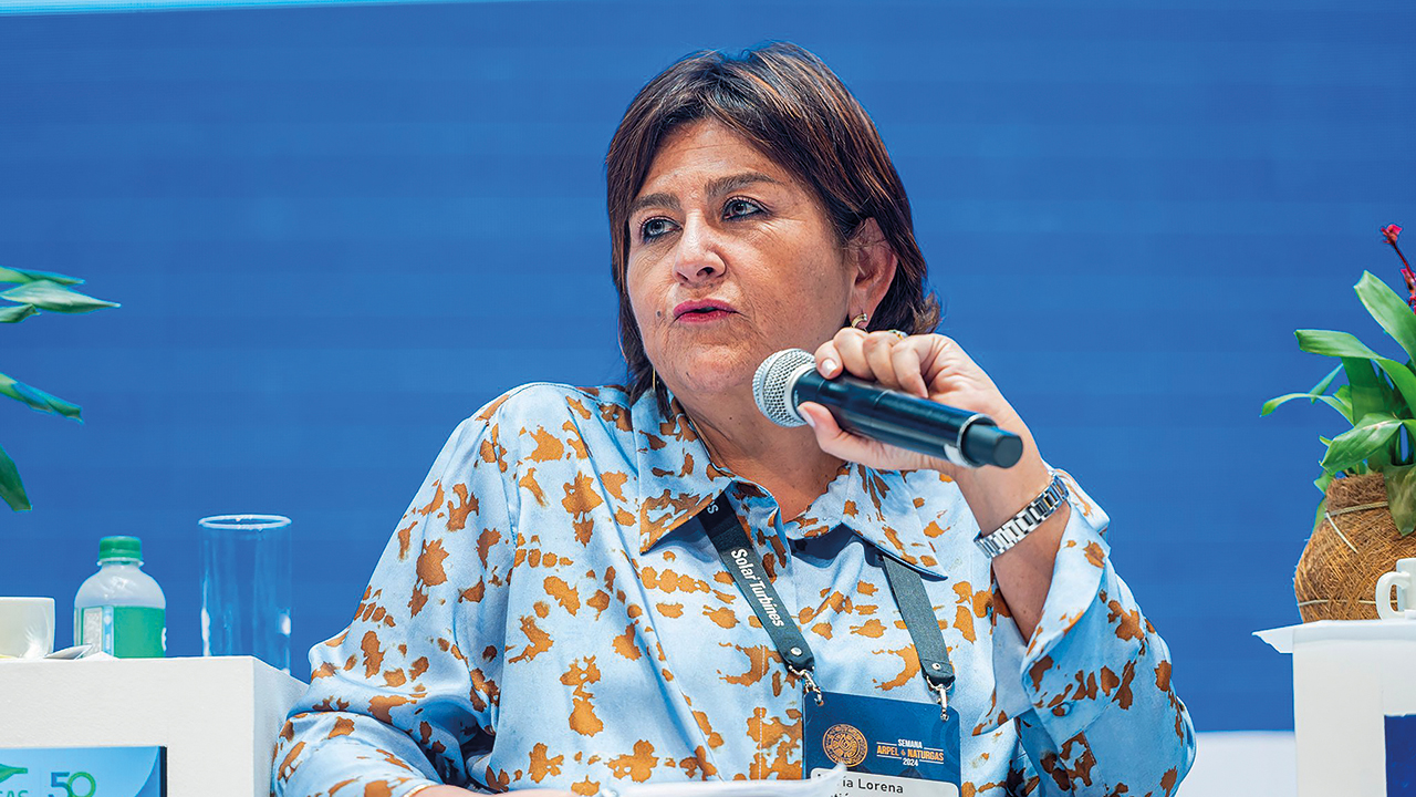 'No es el momento para una reforma tributaria': María Lorena Gutiérrez ...